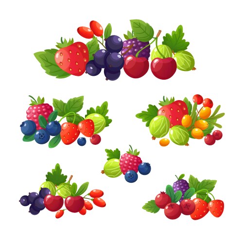 Berry set Royalty Free Vector Image - VectorStock