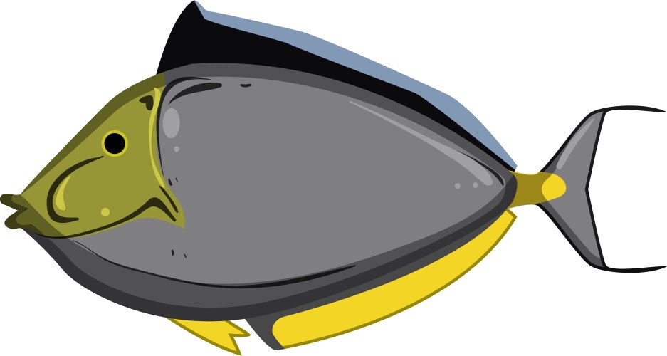 Discus Fish Vector Images (over 550)