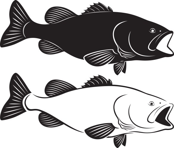 Bass Fishing Black and White Vector Images (over 5,900)