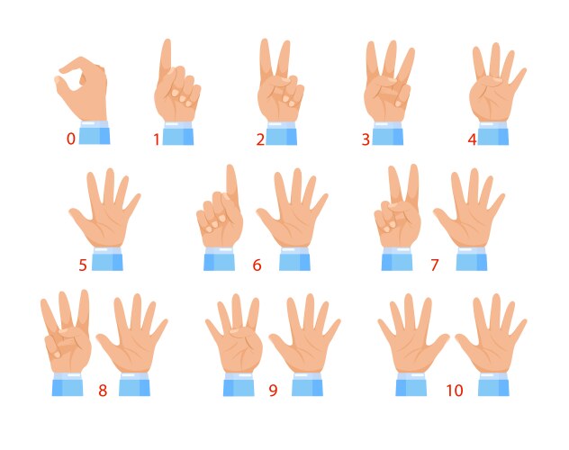 Hands gesture numbers human palm and fingers show Vector Image