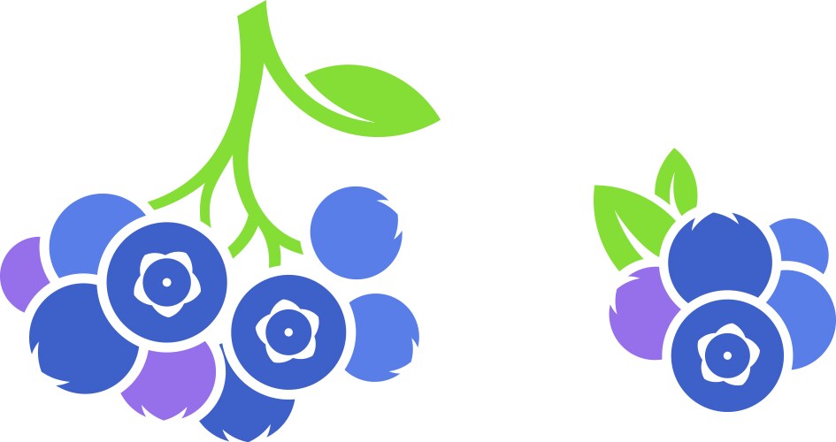Blueberry Vector Images (over 30,000)