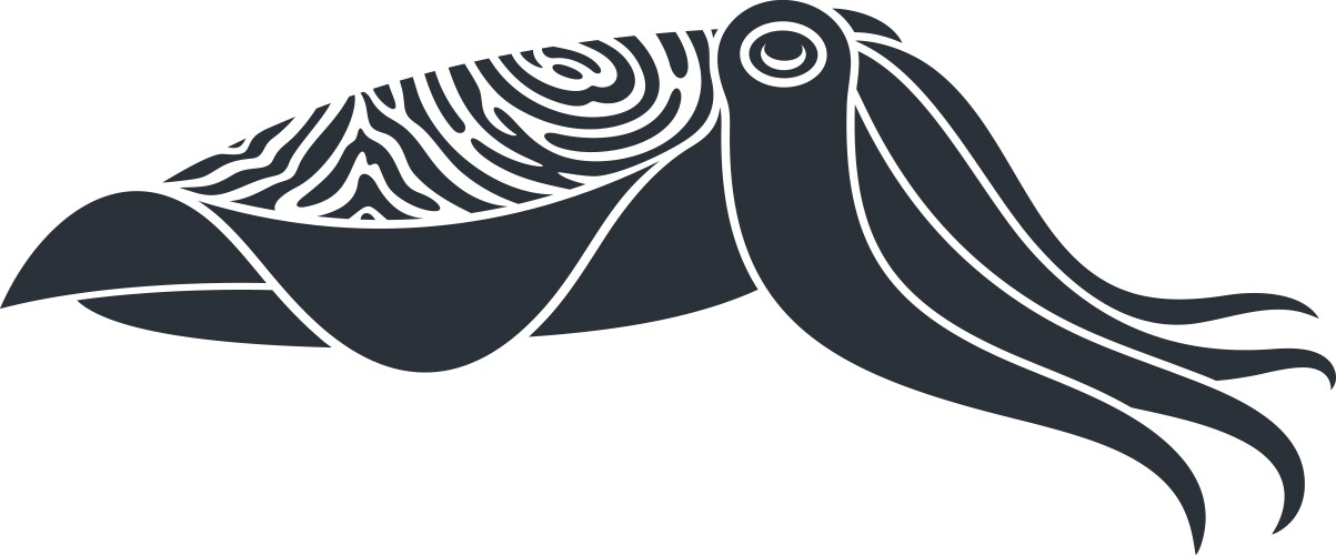 Cuttlefish Royalty Free Vector Image - VectorStock