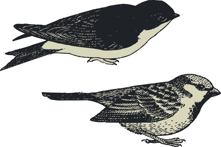 Weaver Vector Images (over 540)