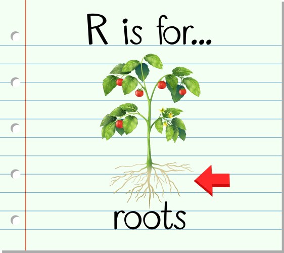 Flashcard letter r is for rat Royalty Free Vector Image