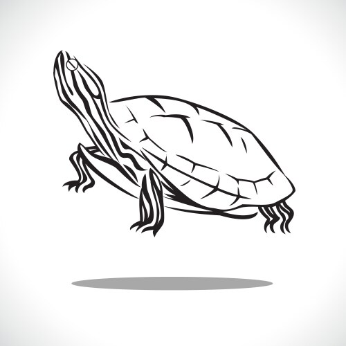 Sea turtle drawing black lines Royalty Free Vector Image