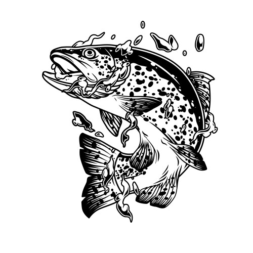 Trout Vector Images (over 13,000)