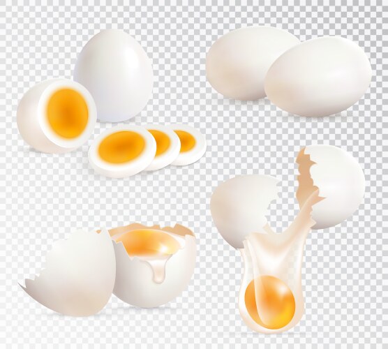 Eggs realistic set Royalty Free Vector Image - VectorStock