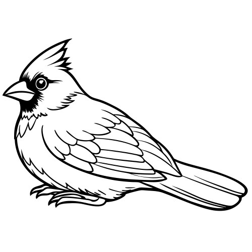 Cardinal Drawing Vector Images (over 1,400)