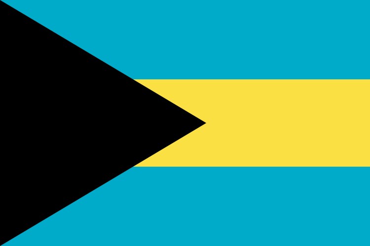 Flag rectangular shape Royalty Free Vector Image