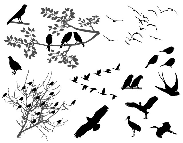 Birds Vector Images (over 630,000)