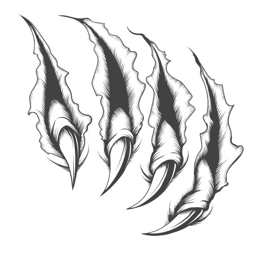 Claw Marks Vector Images (over 3,000)