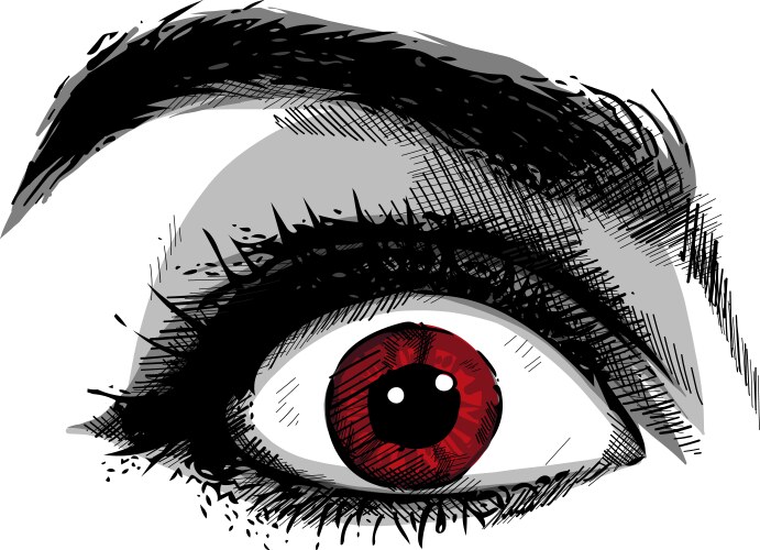 Close-Up Human Eyes - Shocked Expression Vector Image