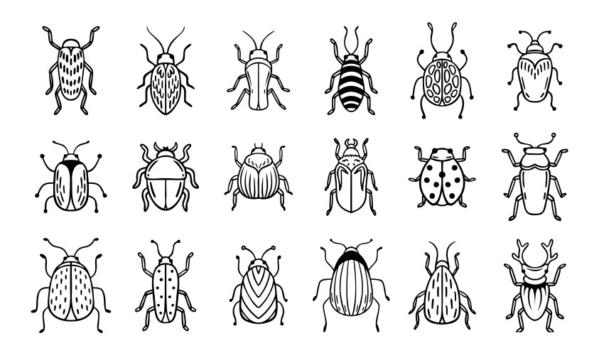 Beetle Outline Vector Images (over 9,600)