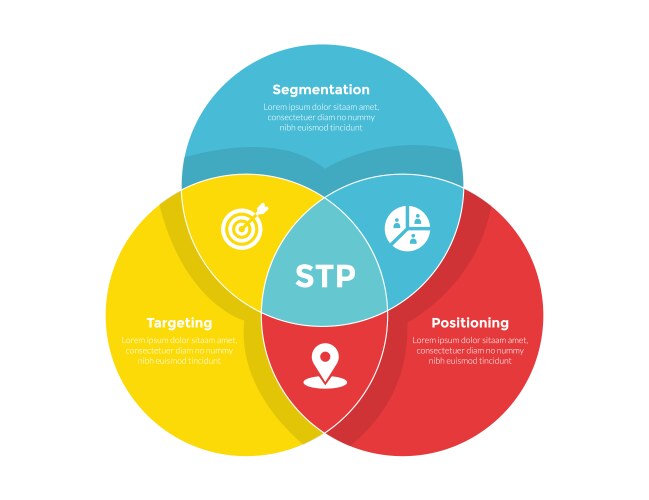 Stp marketing analysis infographics template Vector Image