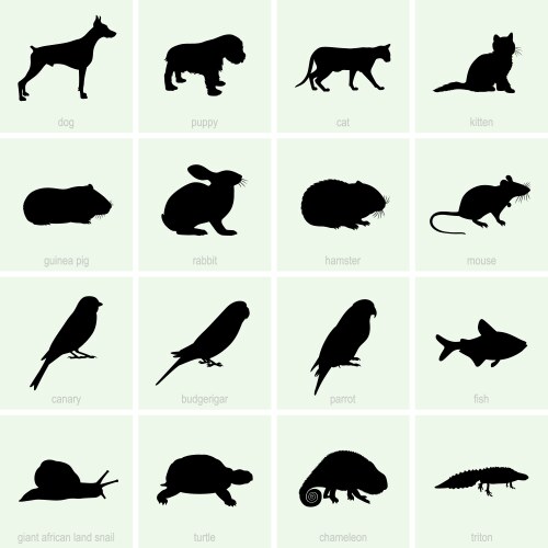 Pets Vector Images (over 620,000)