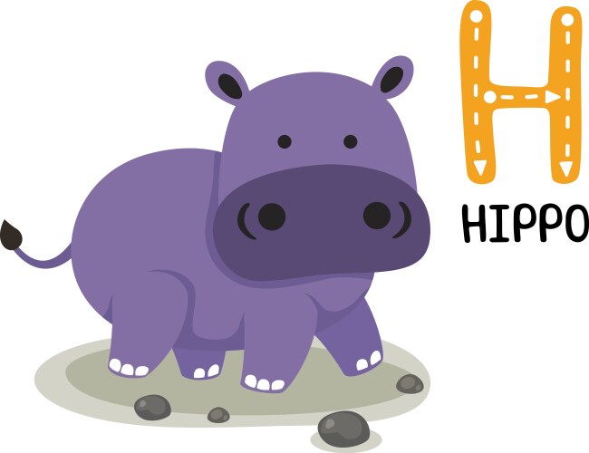Isolated animal alphabet letter h-hippo Royalty Free Vector