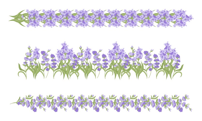 Decorative border of lavender flowers Royalty Free Vector