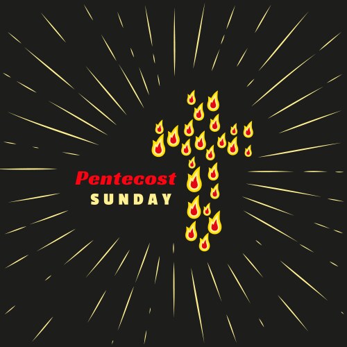 Power of the holy spirit pentecost sunday Vector Image