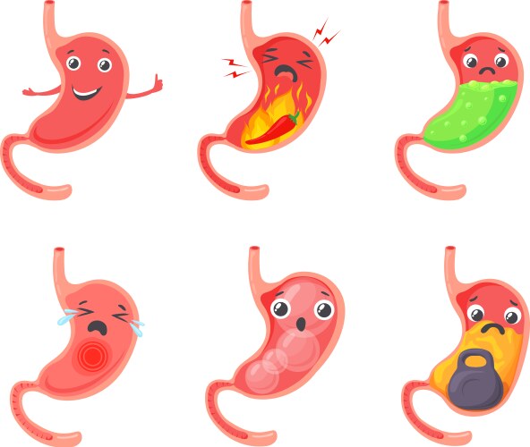 Esophagus Cartoon Vector Images (over 630)