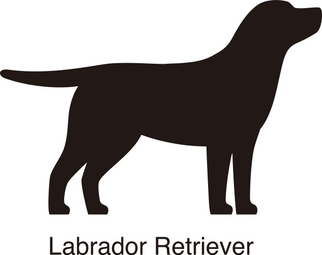 Labrador Outline Vector Images (over 4,500)