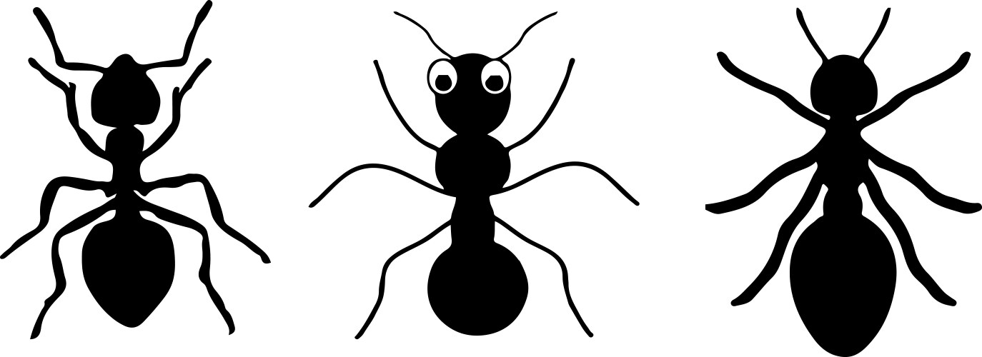 Ant Icon On White Background Royalty Free Vector Image