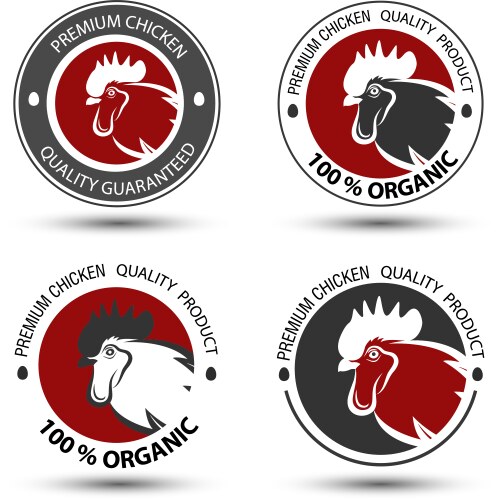 Chicken meat and eggs 2 Royalty Free Vector Image