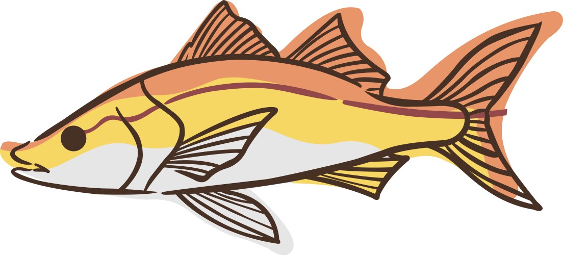Snook Vector Images (56)