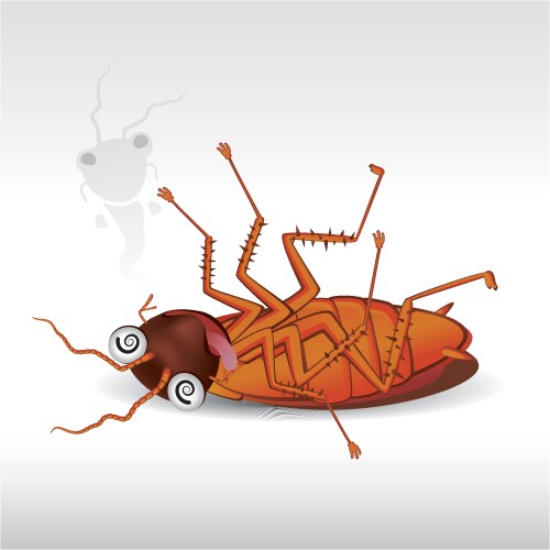 Cockroach Vector Images (over 9,800)