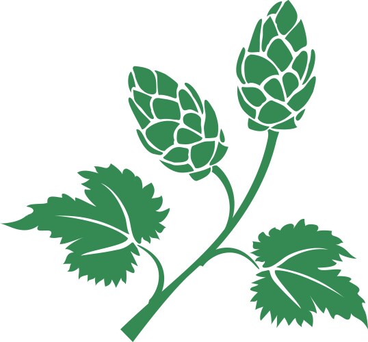Hops Vector Images (over 52,000)