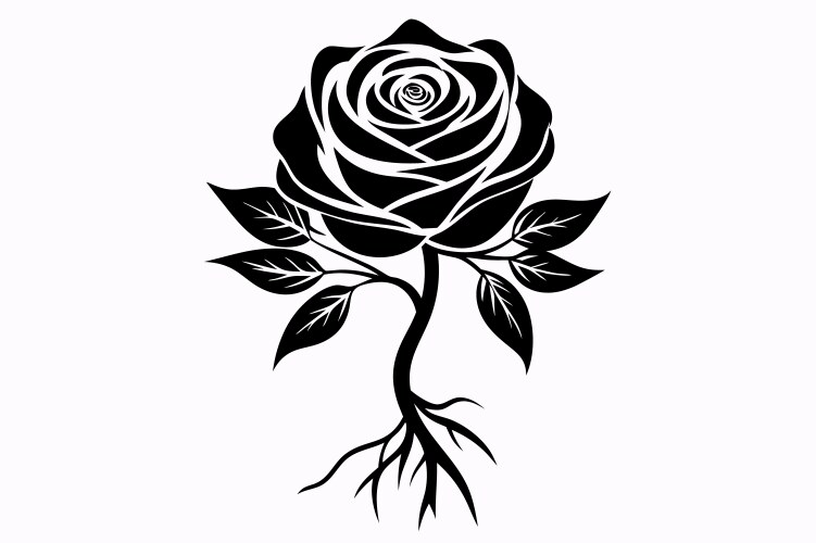 Rose flower root silhouette m Royalty Free Vector Image