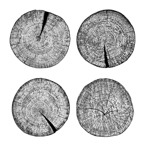 Wood Cut Vector Images (over 68,000)
