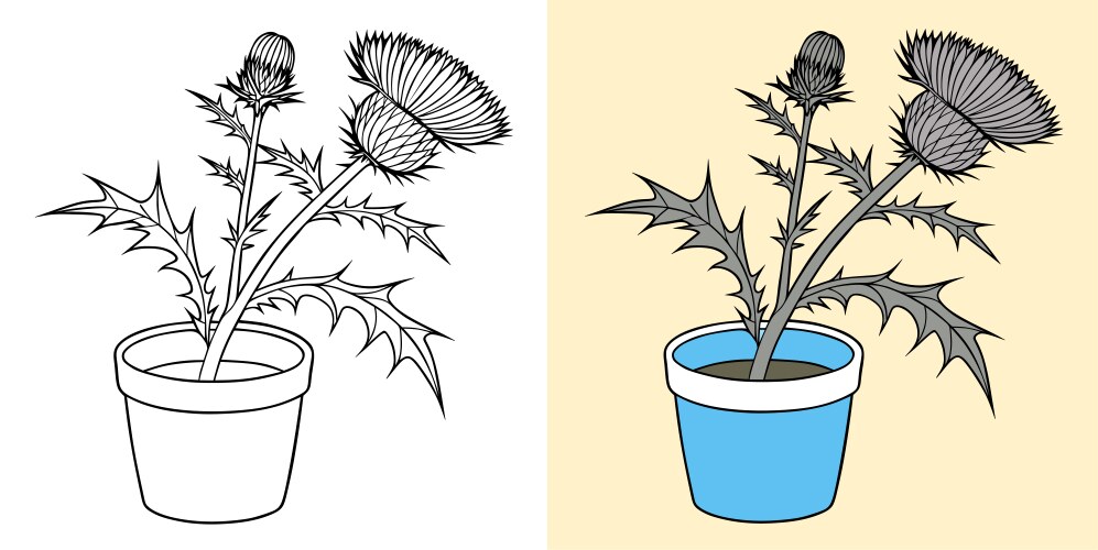 Thistle Outline Vector Images (over 450)