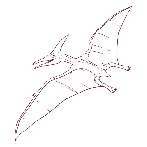 Pterodactyl Dinosaur Outline Template Pterodactyl Flying Dinosaur