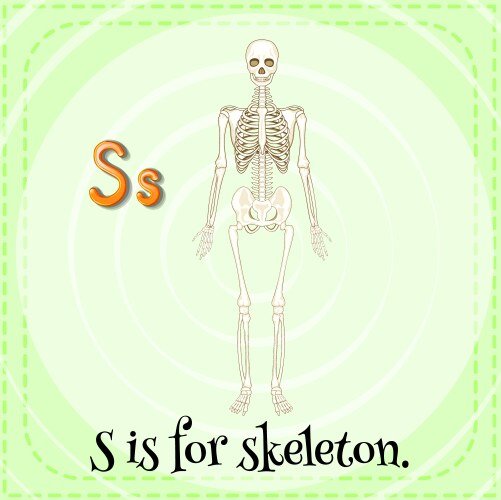 Skeleton Vector Images (over 130,000)