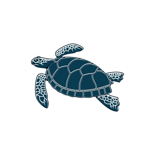 Turtle Vector Images (over 37,000)