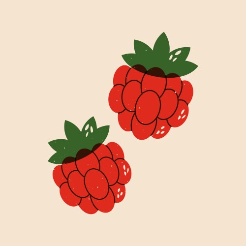 Raspberry Abstract Vector Images (over 1,800)