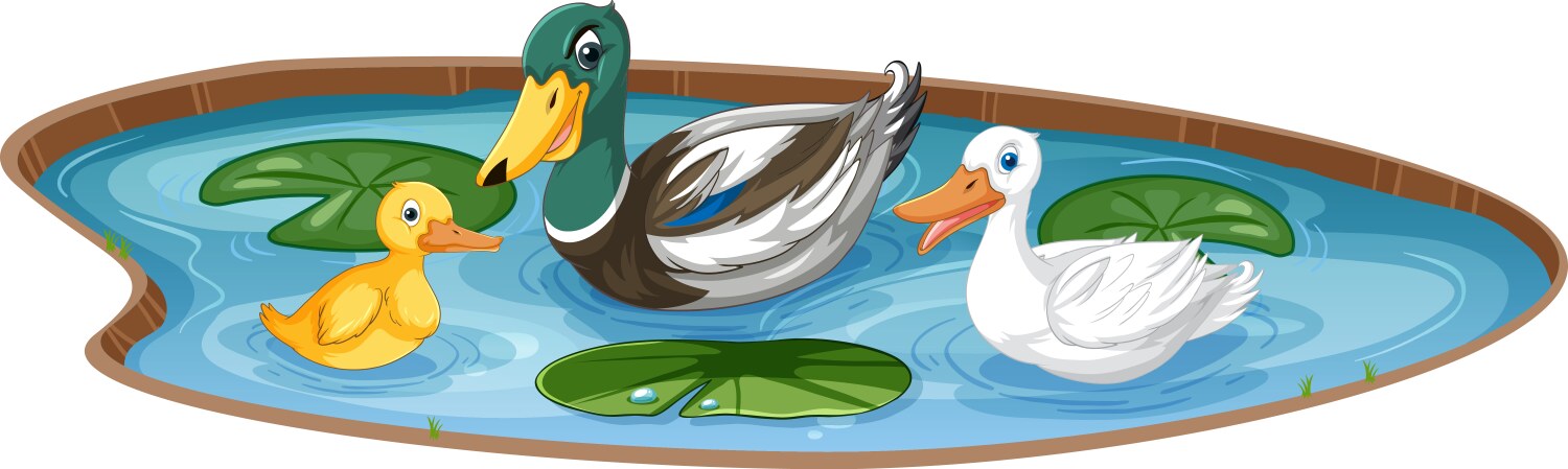 Duck Pond Vector Images (over 2,300)
