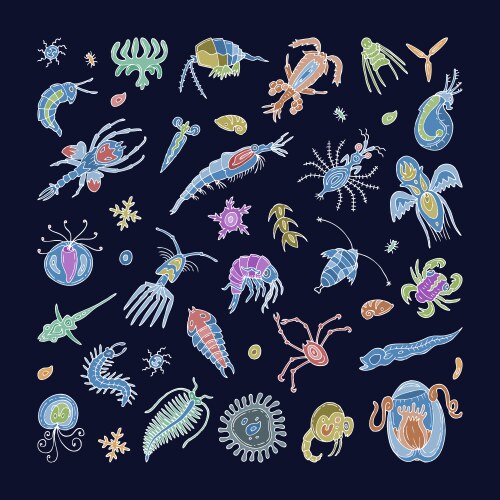 Zooplankton Vector Images (over 430)