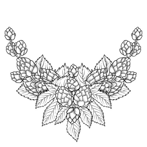 Floral branch hand drawn outline drawing Vector Image