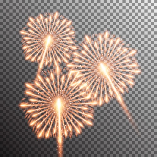 Firework on transparent background Royalty Free Vector Image
