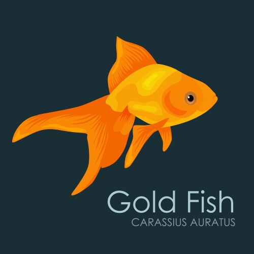 Gold Fish Vector Images (over 13,000)