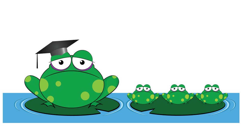 Frog Teacher Vector Images (51)