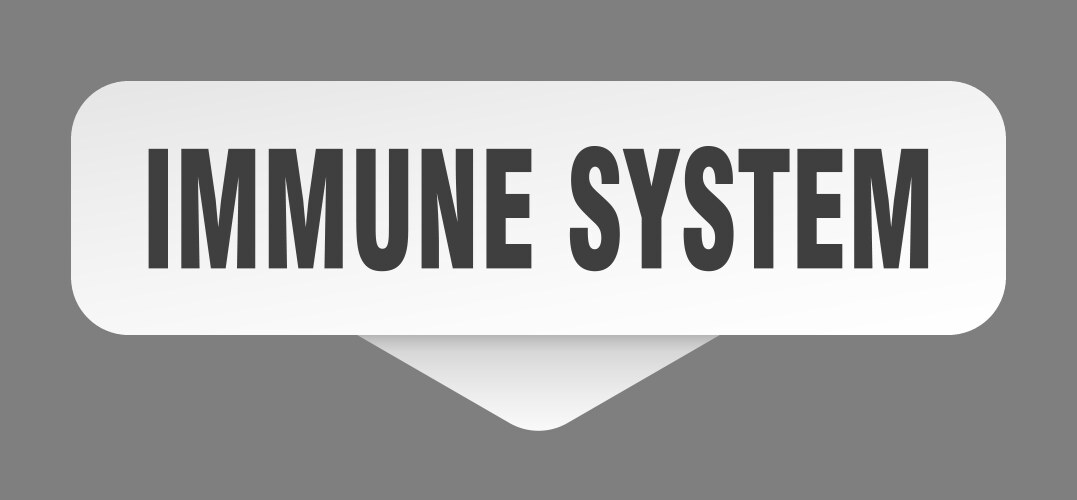 Immune system sticker sign Royalty Free Vector Image