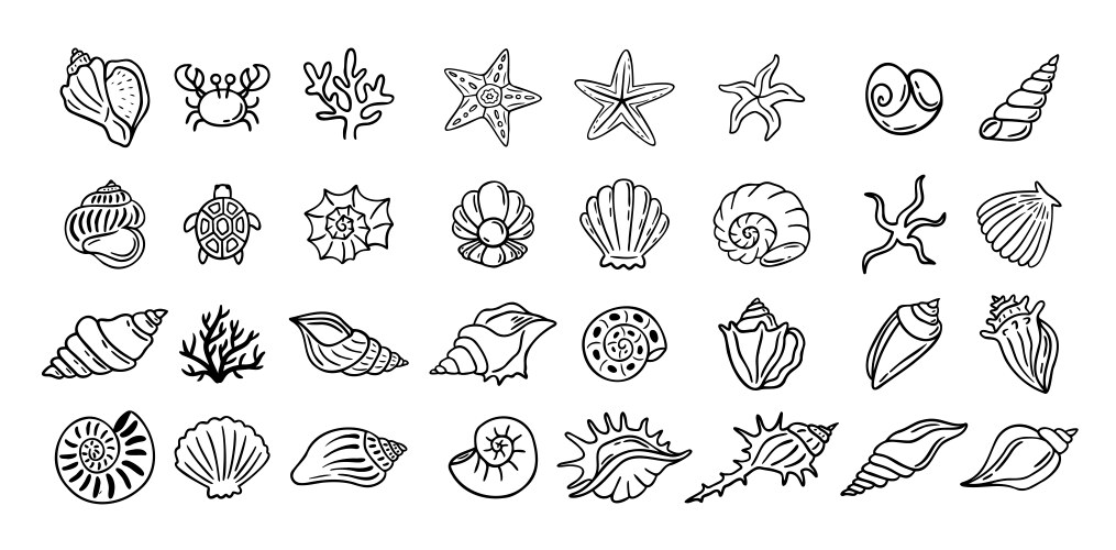 Shells doodle hand drawn style set outline Vector Image