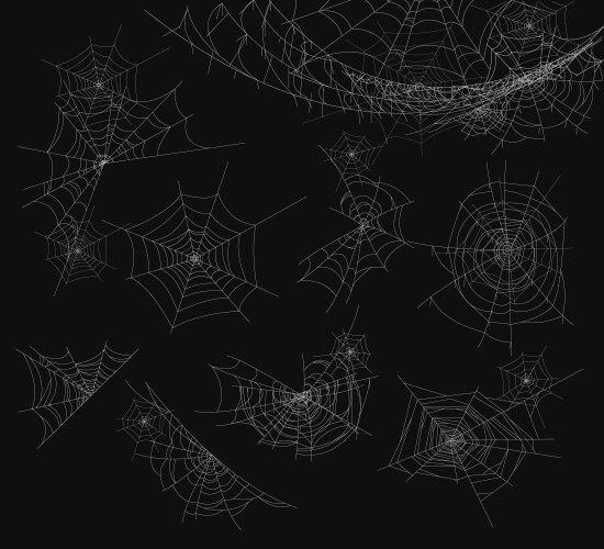 Realistic spider web isolated on black background Vector Image