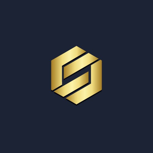 Square letter s cube gold technology logo Vector Image