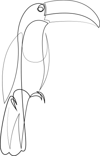Continuous Toucan Line Drawing Royalty Free Vector Image