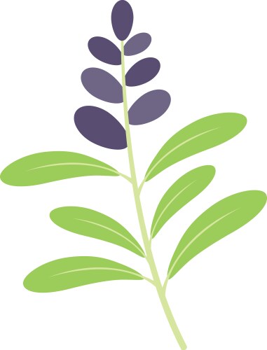 Sage Vector Images (over 5,100)
