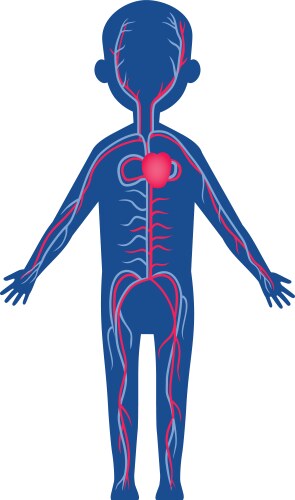 Cardiovascular Vector Images (over 15,000)