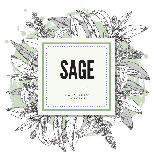 Sage Logo Vector Images (over 650)